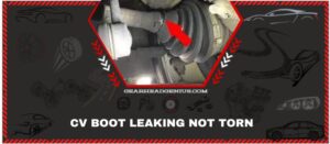 5 Hidden Causes Of CV Boot Leaking Not Torn With Solutions!